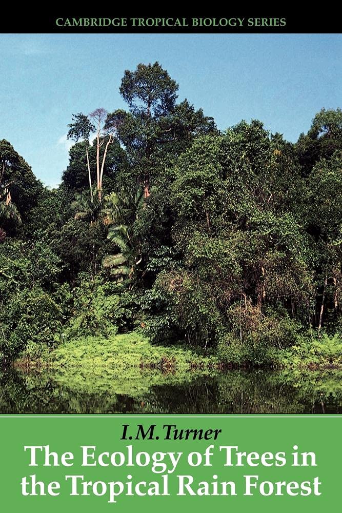 Tropical Rainforest Trees Amazon Trees Don't Grow Like They Used To