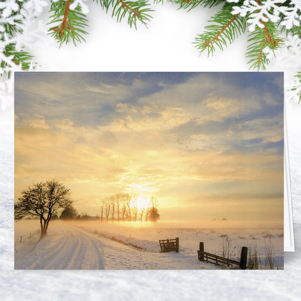 Cancer Research Christmas Cards - Premium Thick High Gloss Cards with ...