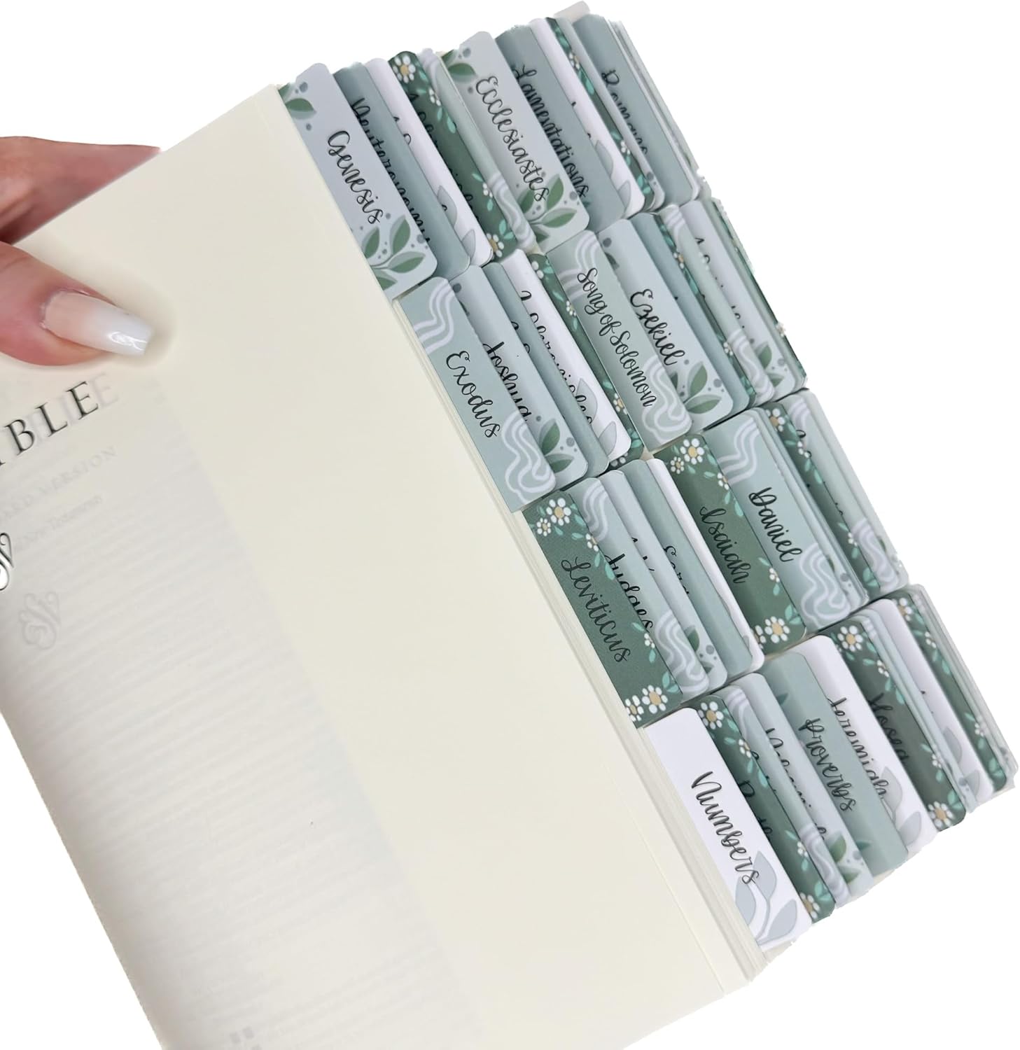Amazon.com: Bible Tabs, 66 Tabs for Christian Bible Books, 8 Blank Tabs ...