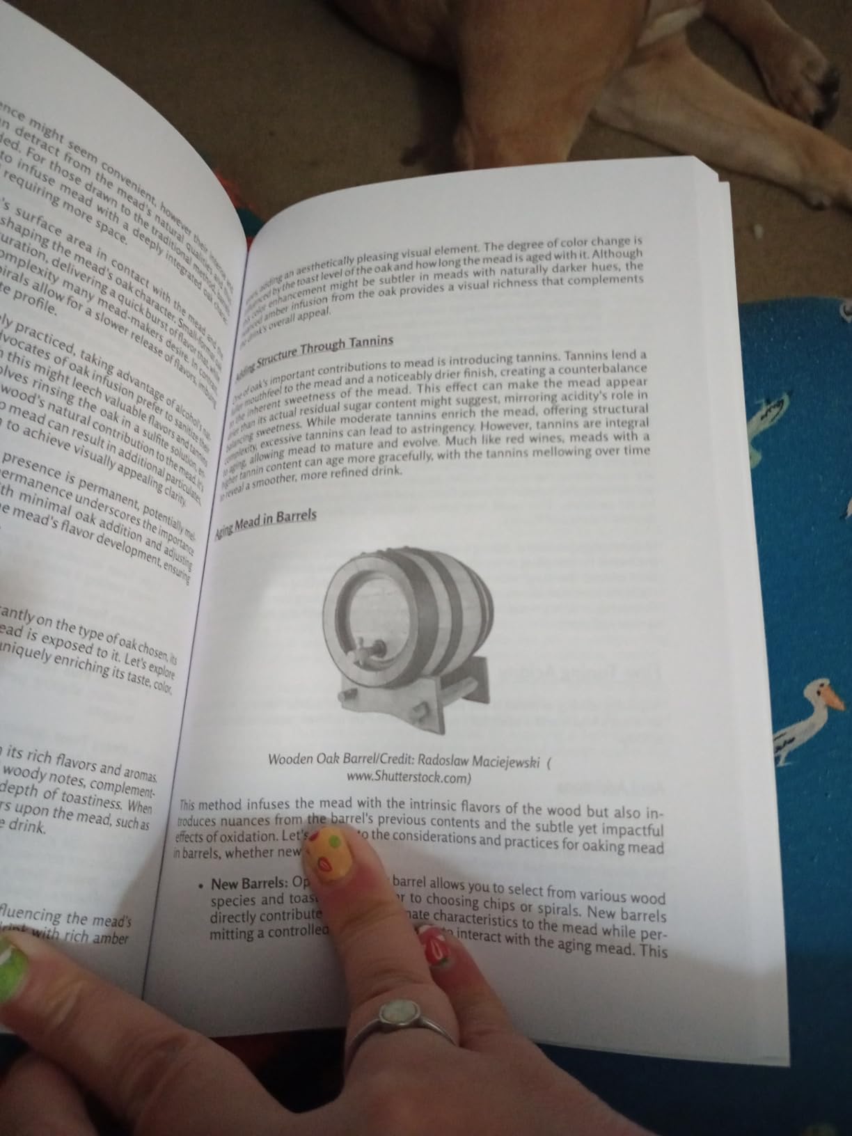 Amazon.com: Mead Making for Beginners: The Complete Guide to Crafting ...