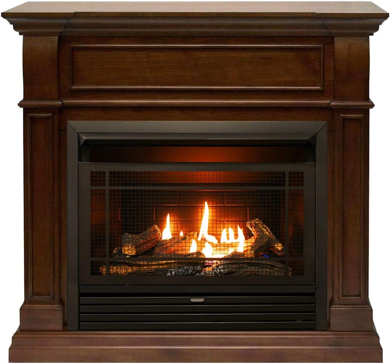 Amazon.com: ProCom Dual Fuel Ventless Gas Fireplace Insert with ...