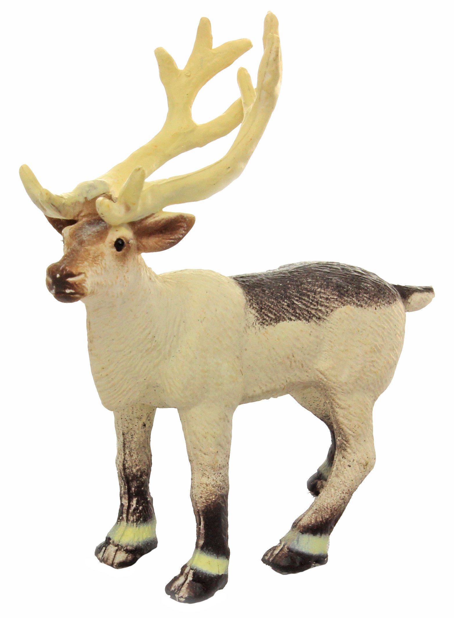 Buy Safari Ltd Arctic TOOB With 10 Fun Figurines, Including A Harp Seal ...