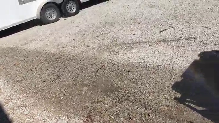 Watch Valley Industries 6541-01-CSK Half or Full Boomless Broadcast ...