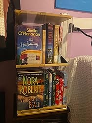 Amazon.com: uyoyous 2-Tier Rotating Bookshelf 24 in 360° Display ...