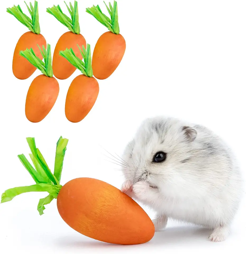The Lifespan Of Syrian Hamsters: A Comprehensive Guide | PetShun