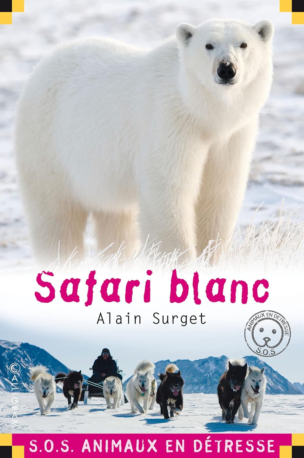 Amazon.fr - Safari blanc - Surget, Alain - Livres