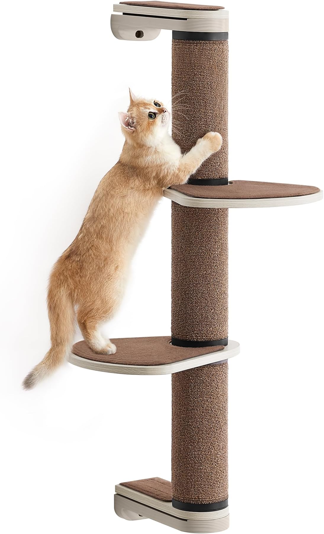 Feandrea Clickat Cat Scratching Post, 101 cm Tall Wall-Mounted Cat ...