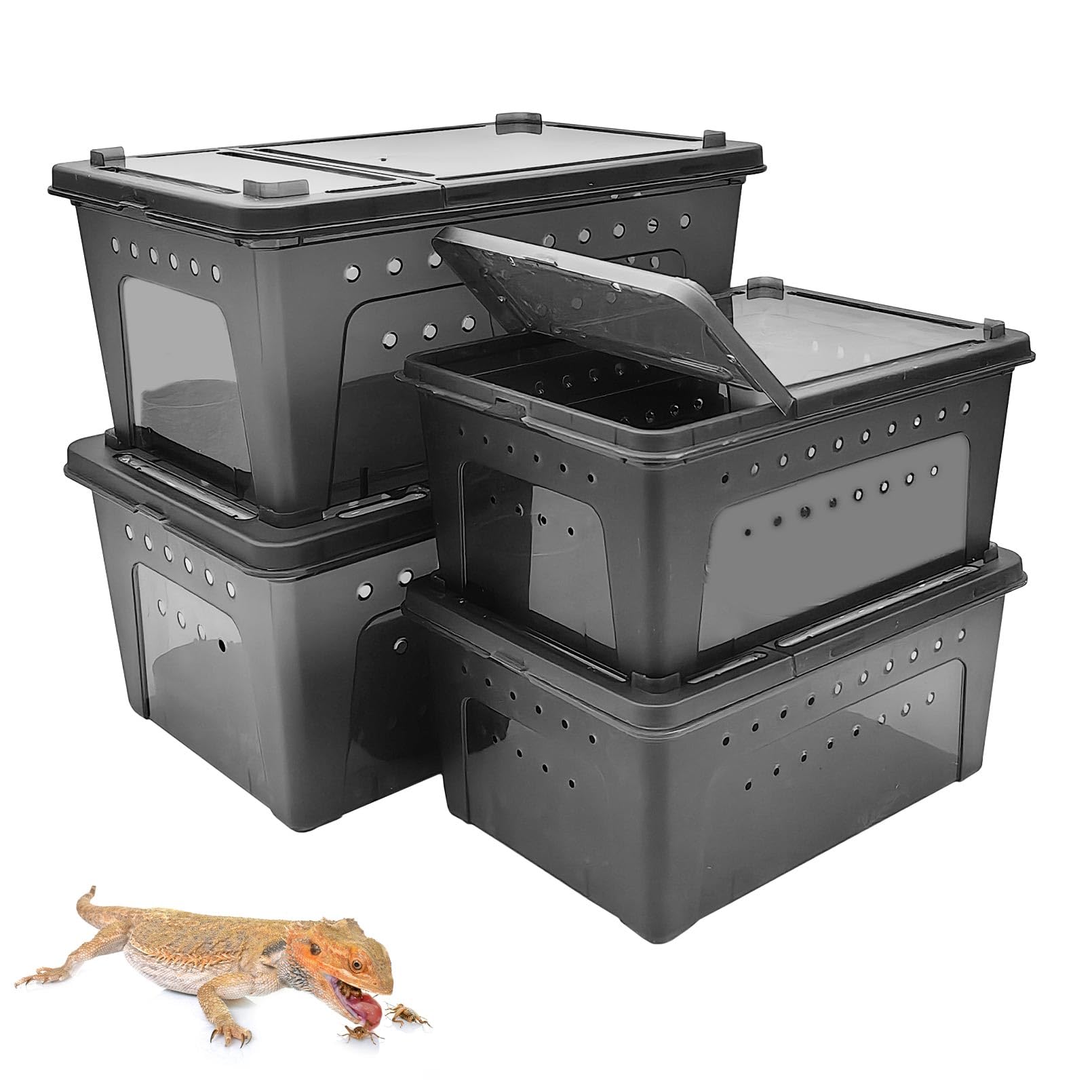 Amazon.com : VCEPJH 4 Pcs Reptile Breeding Box Plastic Feeding Box ...