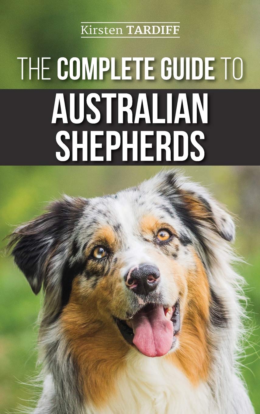 The Complete Guide to Australian Shepherds: Learn Everything You Need ...