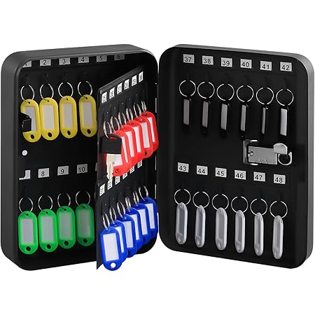 Amazon.com: Key Box Wall Mount, 48 Key Hooks & Tags, Steel Security ...
