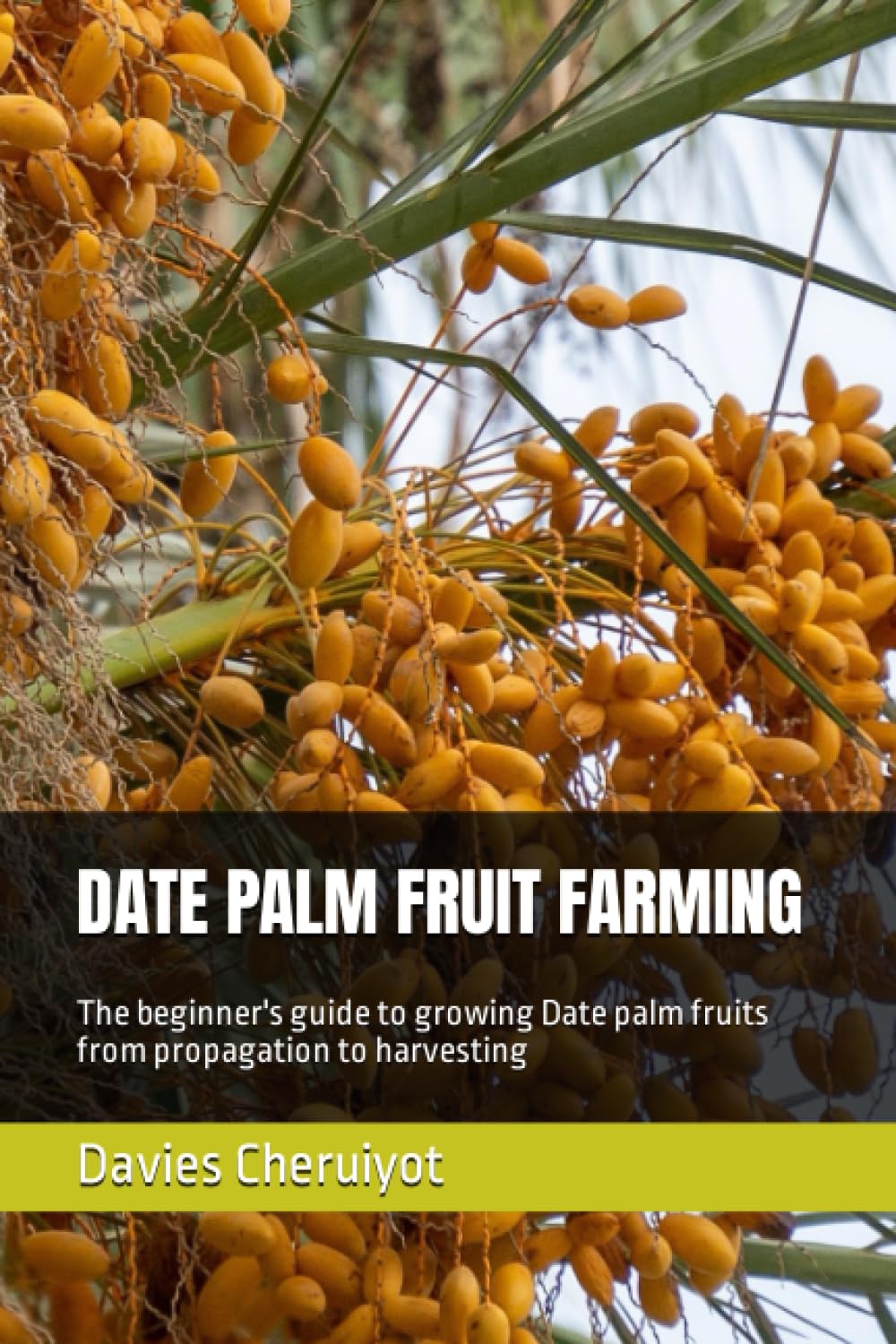 DATE PALM FRUIT FARMING: The beginner's guide to growing Date palm ...