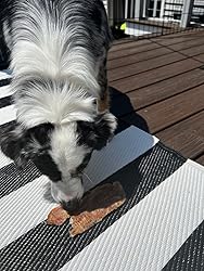 Amazon.com : Bark & Harvest Pet Provisions From The Farm 6" Beef Pizzle ...