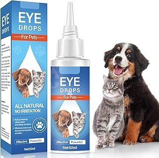 Understanding The Symptoms Of Fip In Cats' Eyes: A Comprehensive Guide ...