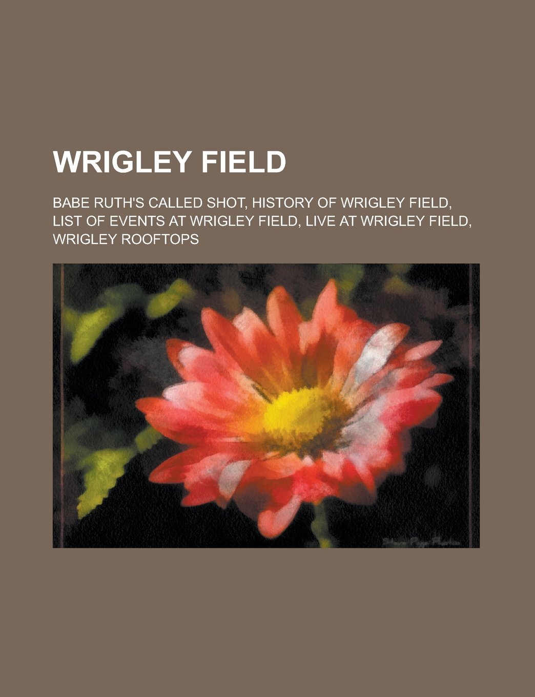 Amazon.co.jp: Wrigley Field: Babe Ruth's Called Shot, History of ...