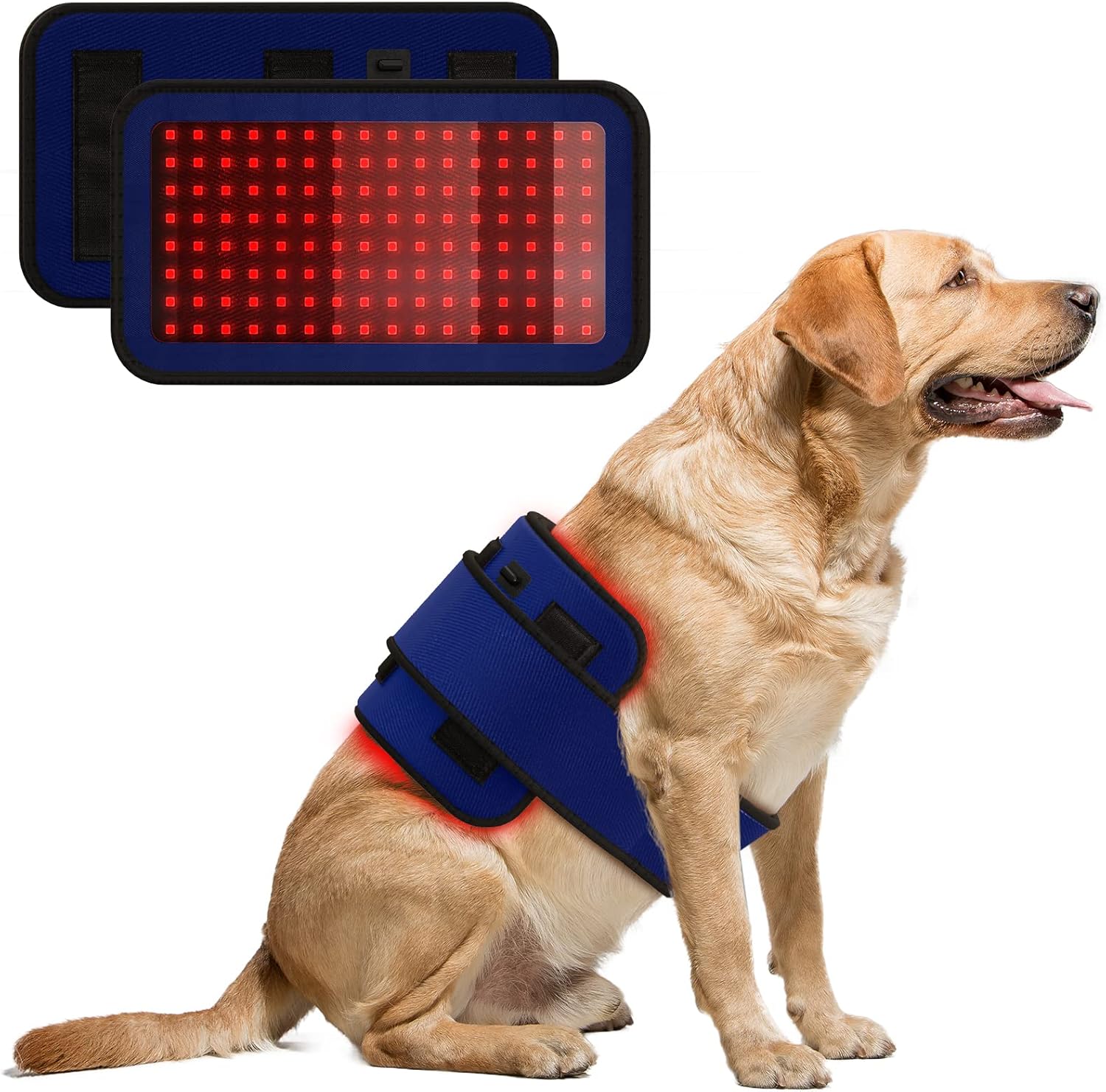 Amazon.com : PUPCA Cold Laser Therapy Device for Dogs, Infrared Light ...