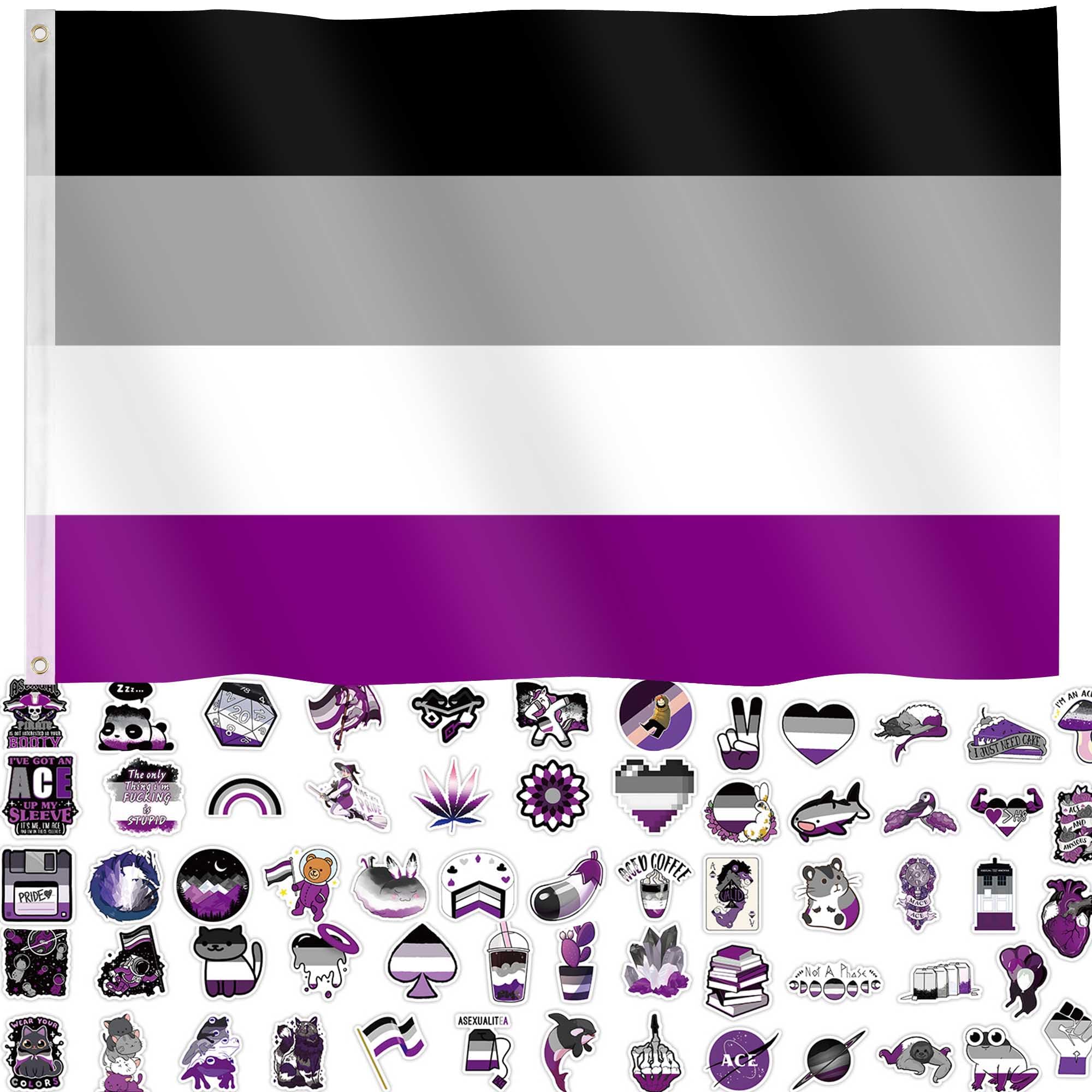 Amazon.com : Asexual Pride Flag 3x5 Ft Pride Month Accesories LGBTQ ...