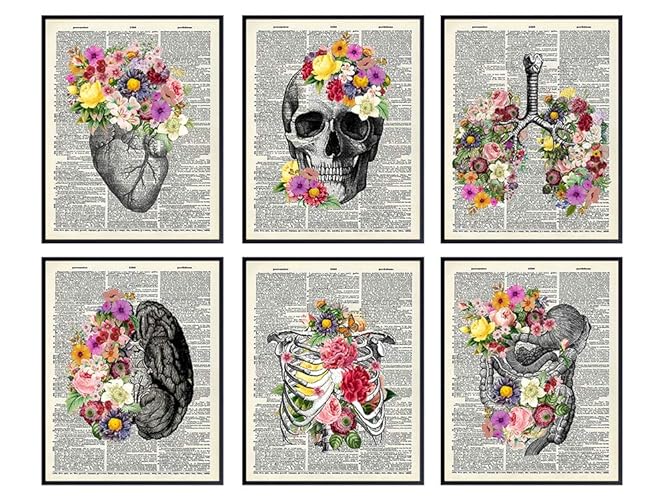 Amazon.com: Medical Dictionary Art Set - 8x10 Vintage Anatomical ...