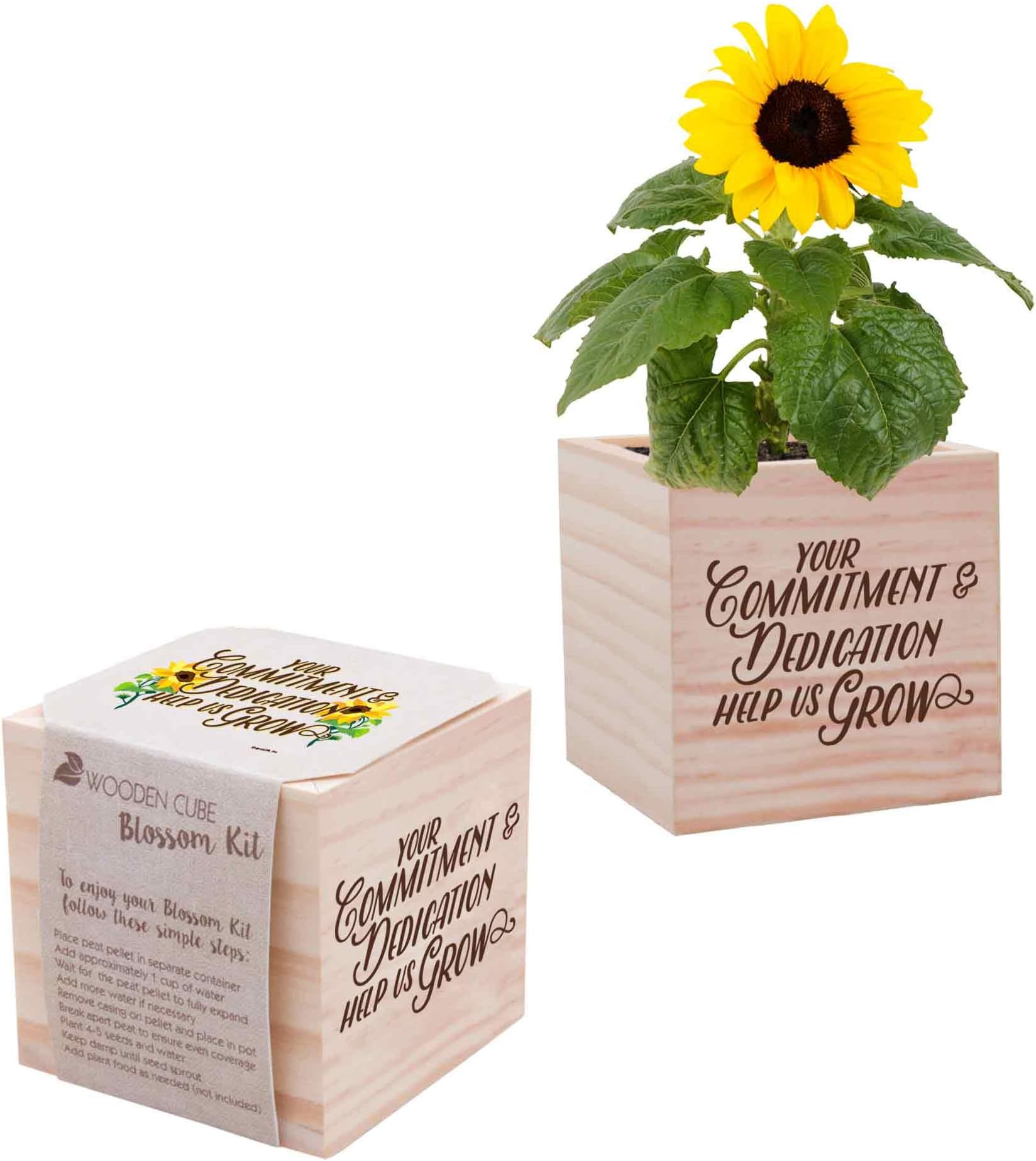 Amazon.com : Westman Works Teacher Plant Appreciation Gift Best of All ...