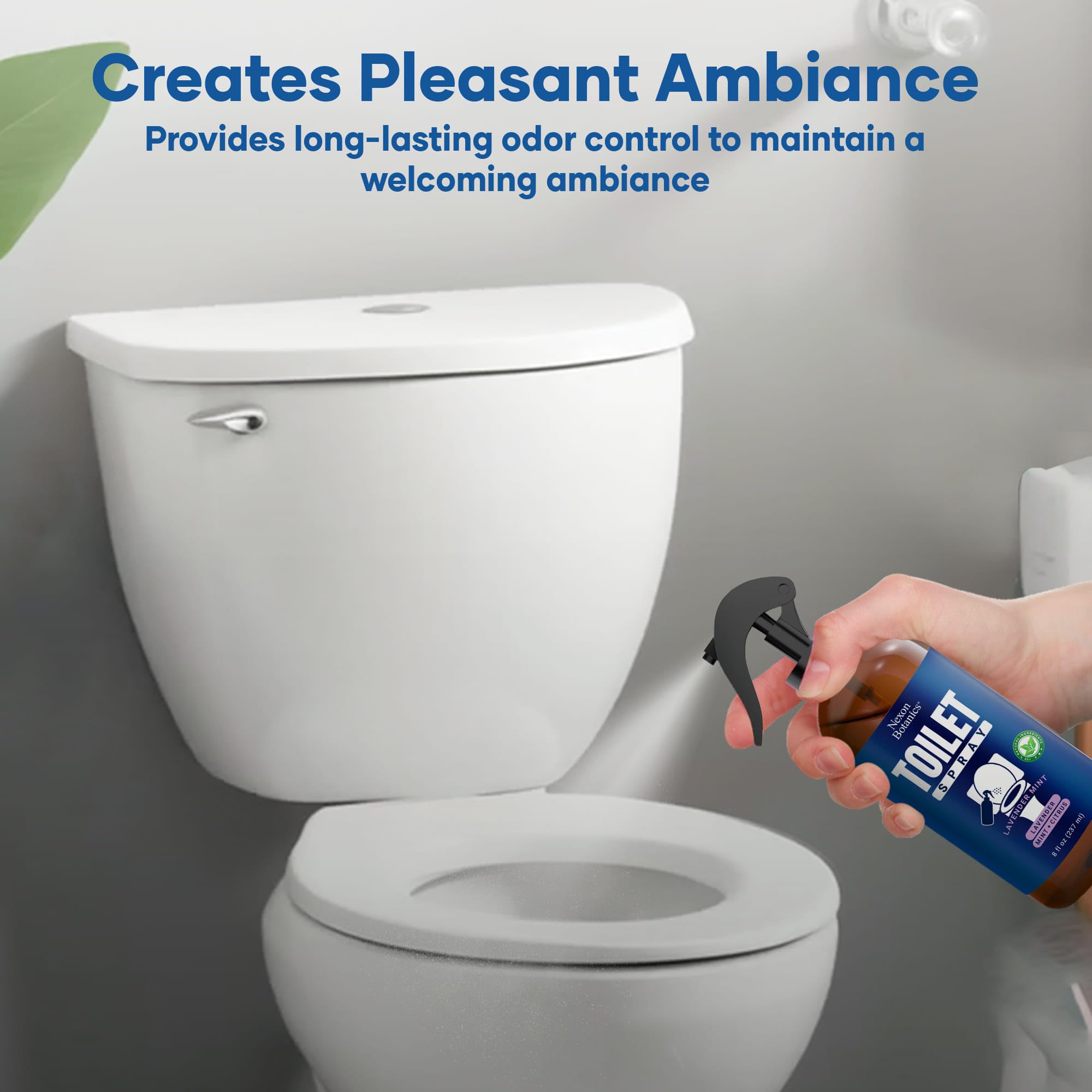 Snapklik.com : Lavender Mint Toilet Spray 8 Fl Oz - Before You Go ...