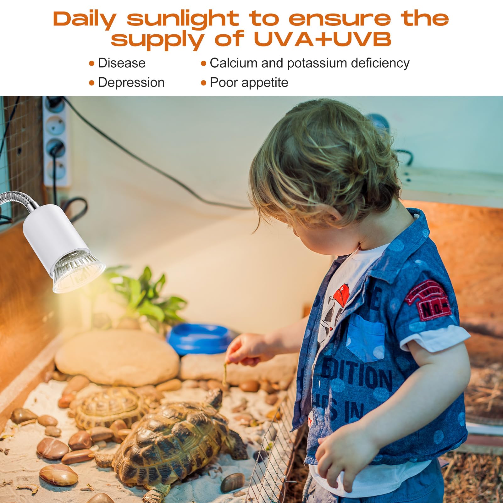 Snapklik.com : 3 Set Reptile Heat Lamp UVA/UVB Turtle Heat Lamp Holder ...