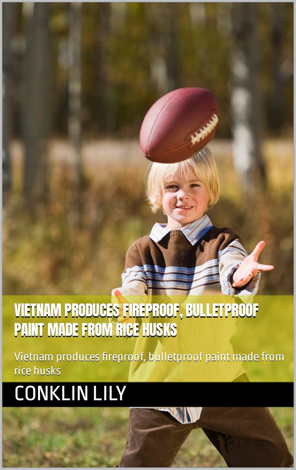 Amazon.com: Vietnam produces fireproof, bulletproof paint made from ...