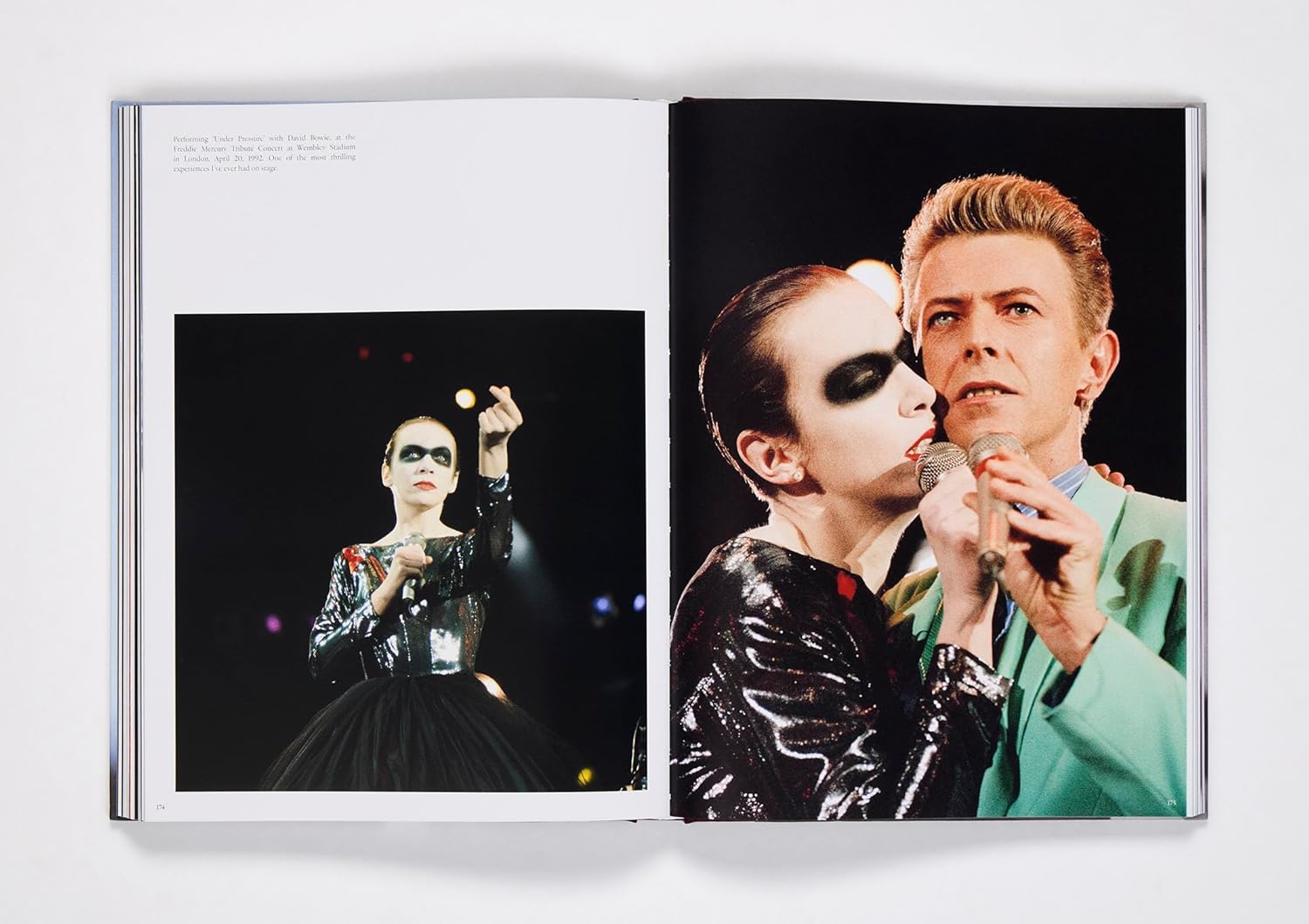 New book: "Annie Lennox: Retrospective" | Steve Hoffman Music Forums
