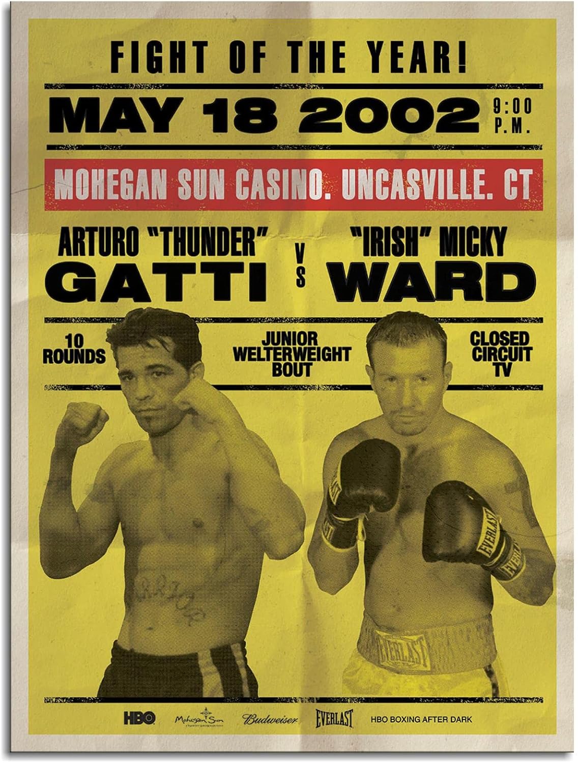 Amazon.com: DEKBOND Classic Fighting Poster Canvas Prints Heavyweight ...