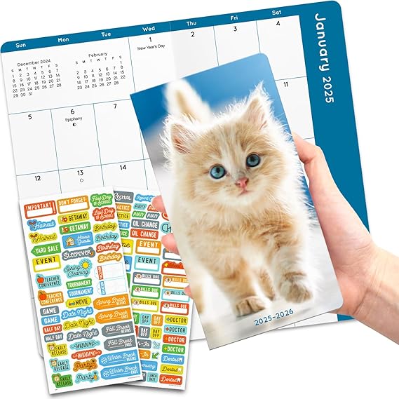 Amazon.com: Cute Kittens Calendar 2025 - Deluxe 2025-2026 Adorable Cats ...