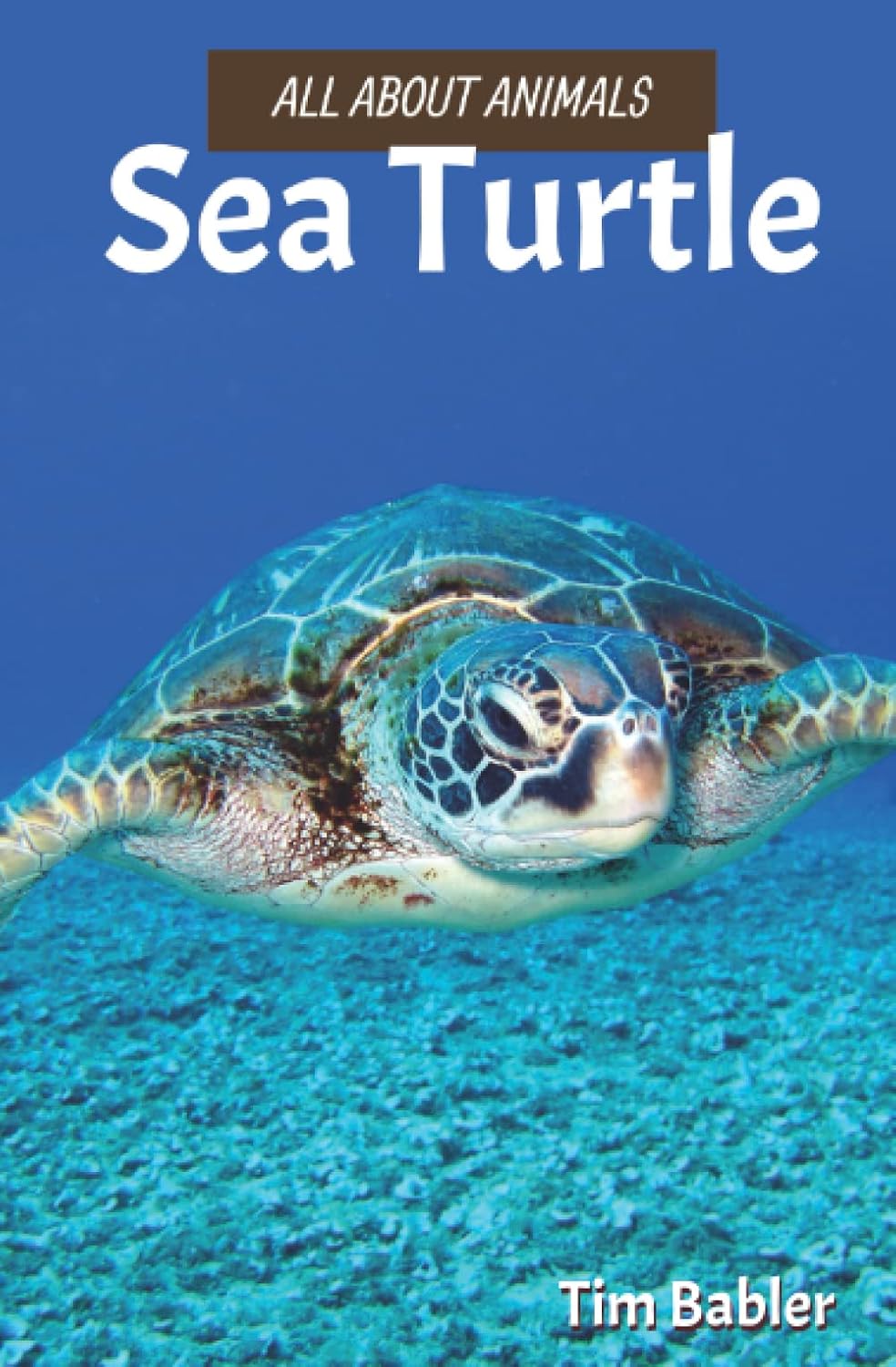 All About Animals - Sea Turtle: Babler, Tim: 9798805270858: Amazon.com ...
