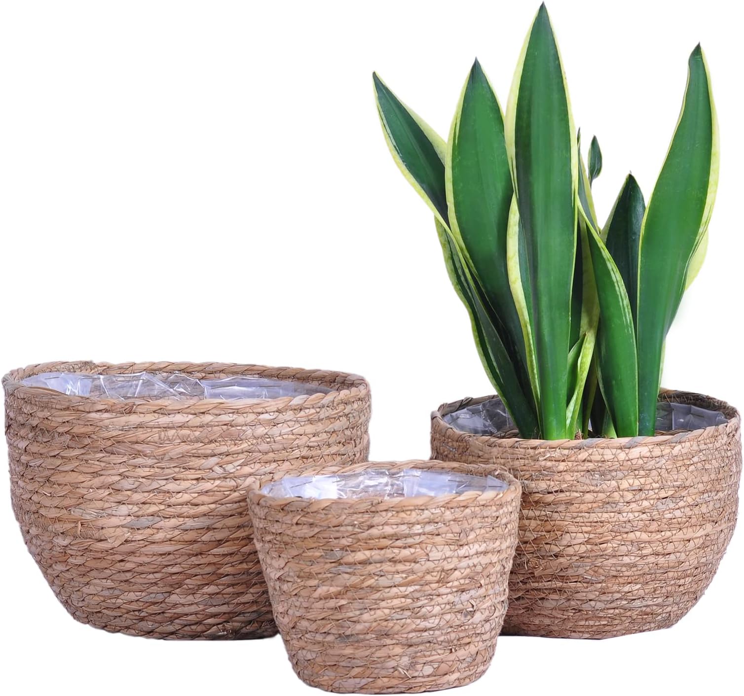 Amazon.com : La Jolíe Muse Seagrass Planter Basket Indoor, Flower Pots ...