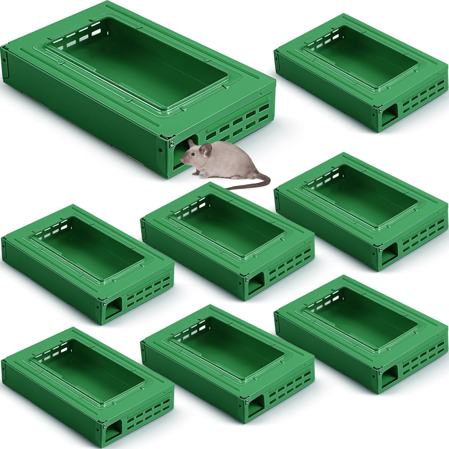 Amazon.com : Kittmip 8 Pack Green Multi Catch Mouse Trap Clear Top ...