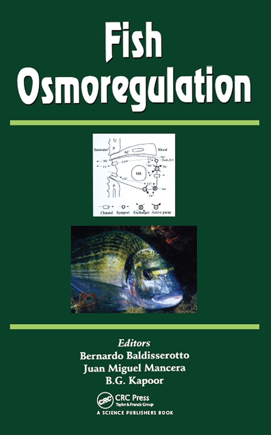 Fish Osmoregulation 1, Baldisserotto, Bernardo, Romero, J.M. Mancera ...