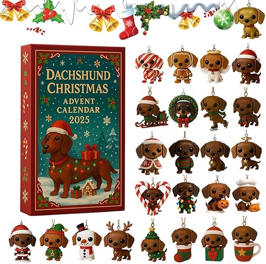 Amazon.com: Dachshund Christmas Advent Calendar 2025, 2D Acrylic 24 Day ...