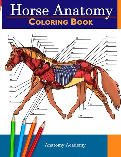 Horse Anatomy Coloring Book: Incredibly Detailed Self-Test Equine ...