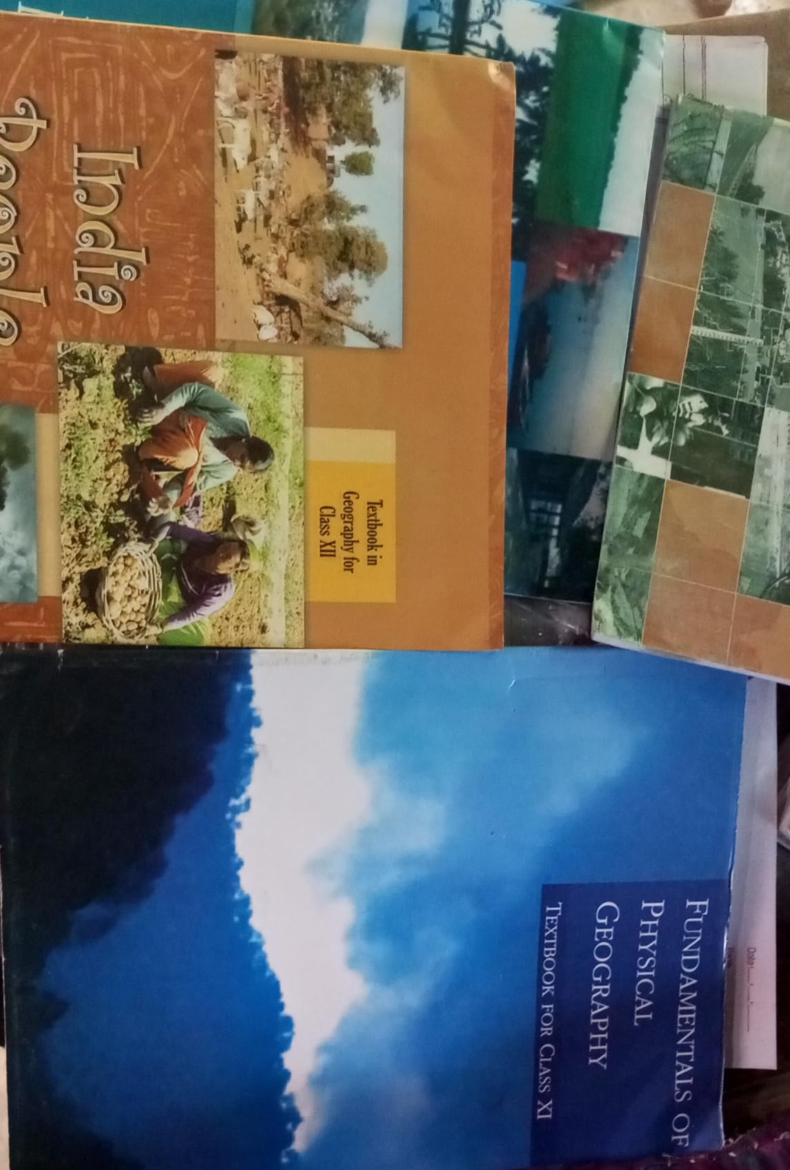 Ncert - Geography for 11-12 ( SET OF 4 BOOK) : Ncert: Amazon.in: Books