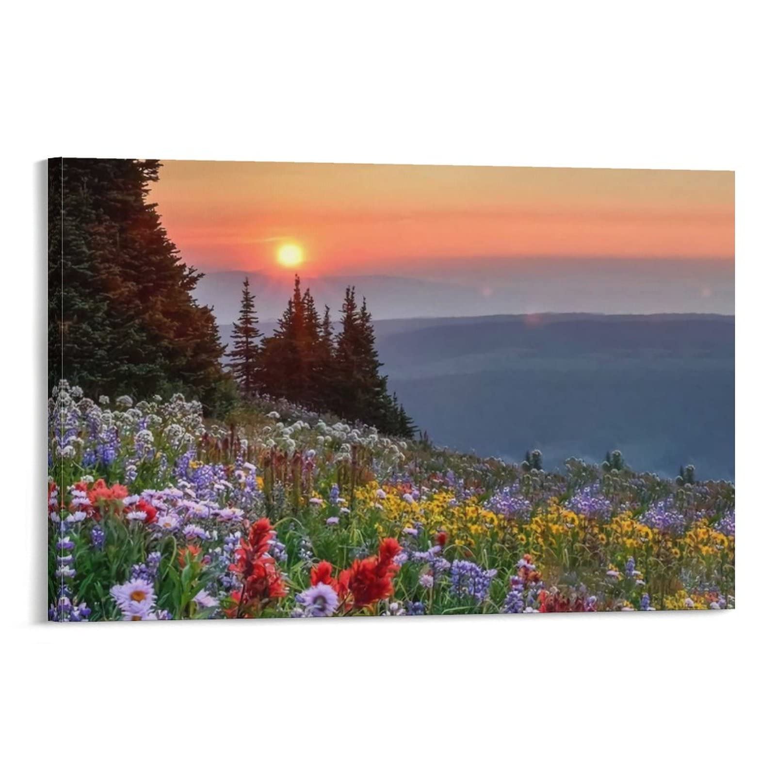 Beautiful Morning Scenery