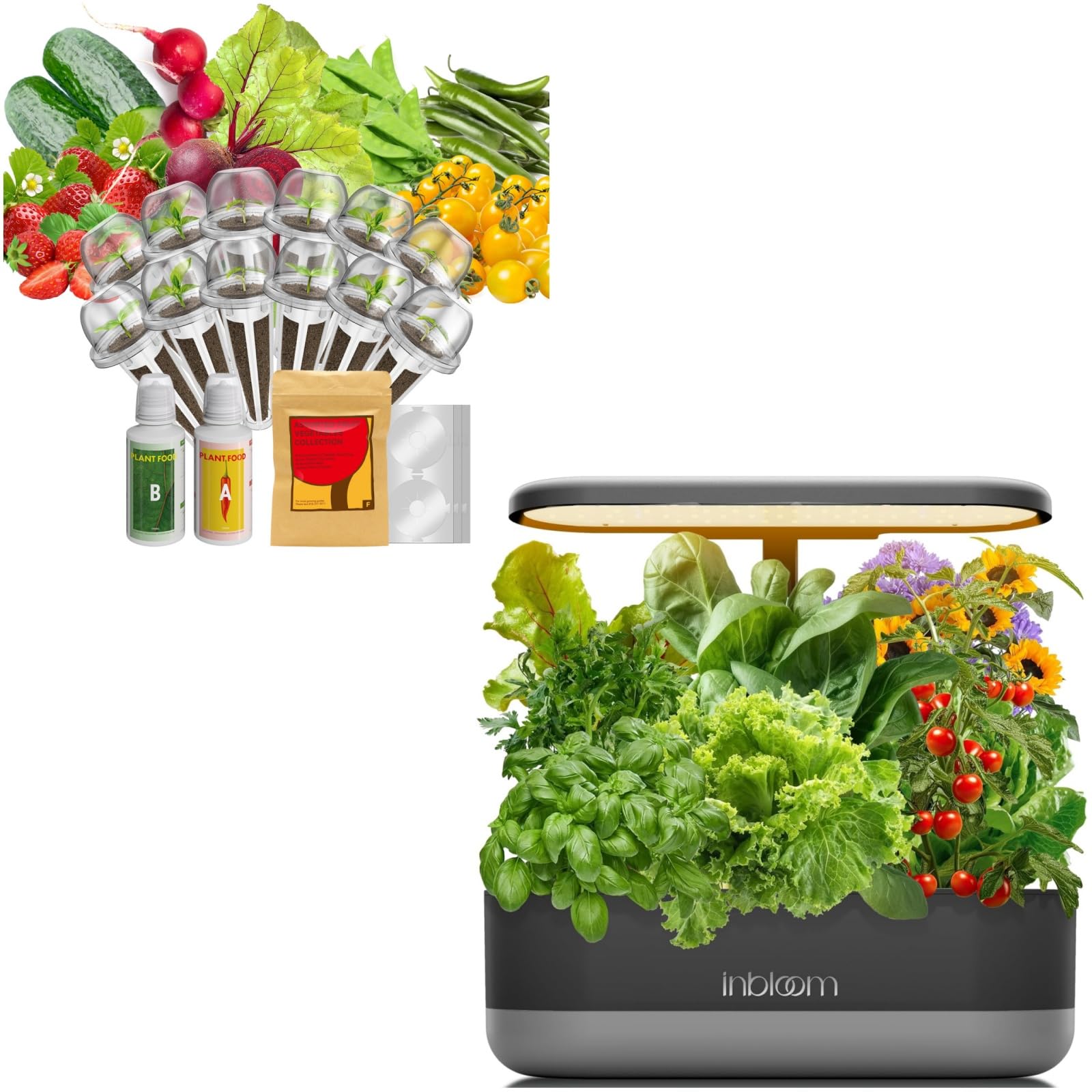 Amazon.com : inbloom Hydroponics Growing System 12 Pods Black and Fruit ...