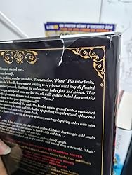 Amazon.com: Gilded (Gilded Duology, 1): 9781250618849: Meyer, Marissa: Books