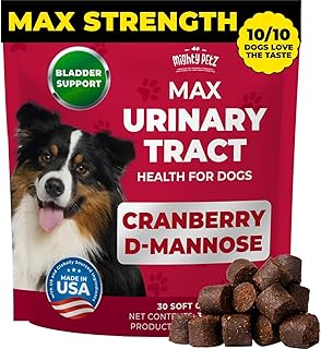 Treating Gallbladder Sludge In Dogs: Effective Strategies For Canine ...