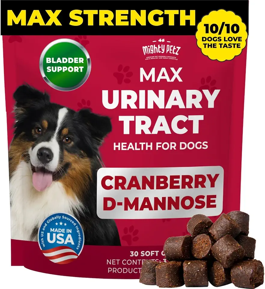 D-Mannose For Uti In Dogs: Safe And Effective Option? | PetShun