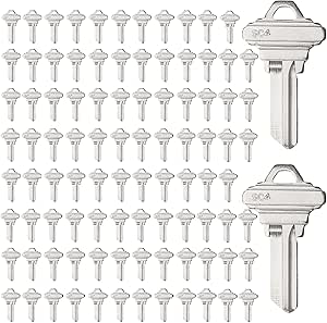 WAH LIN PARTS Blank Key Blanks, Pack of 100 Uncut Blank Keys, Copper ...