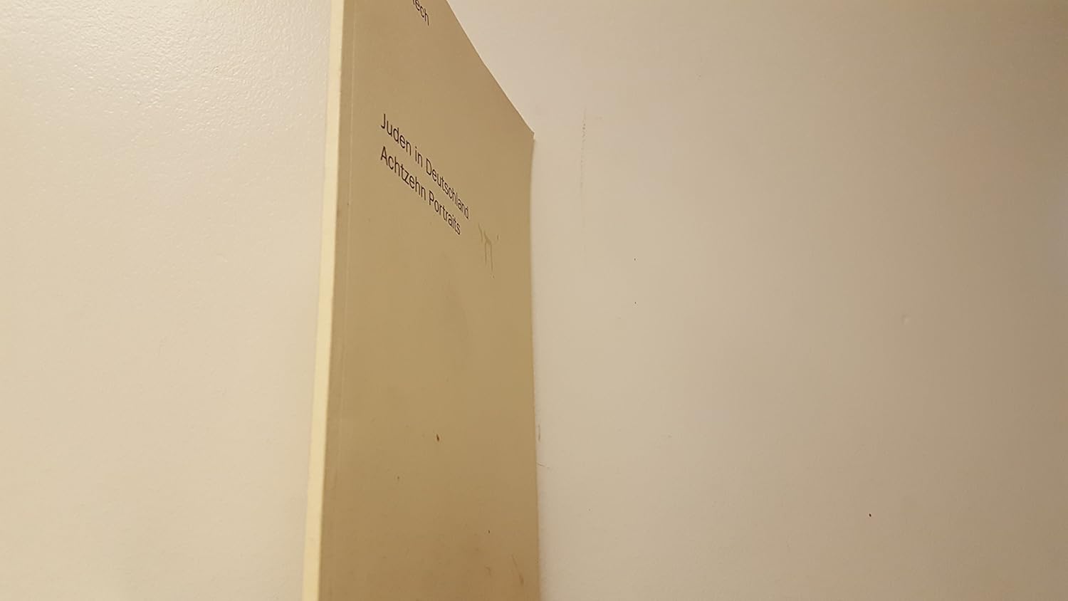 German Edition of Anne Rech's Juden in Deutschland -Achtzehn Portraits ...