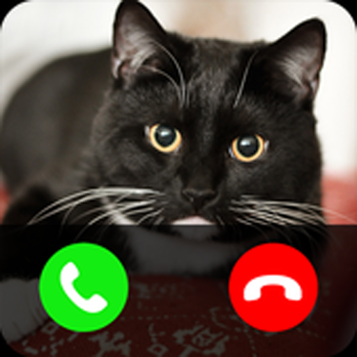 Fake call from cat - App on Amazon Appstore