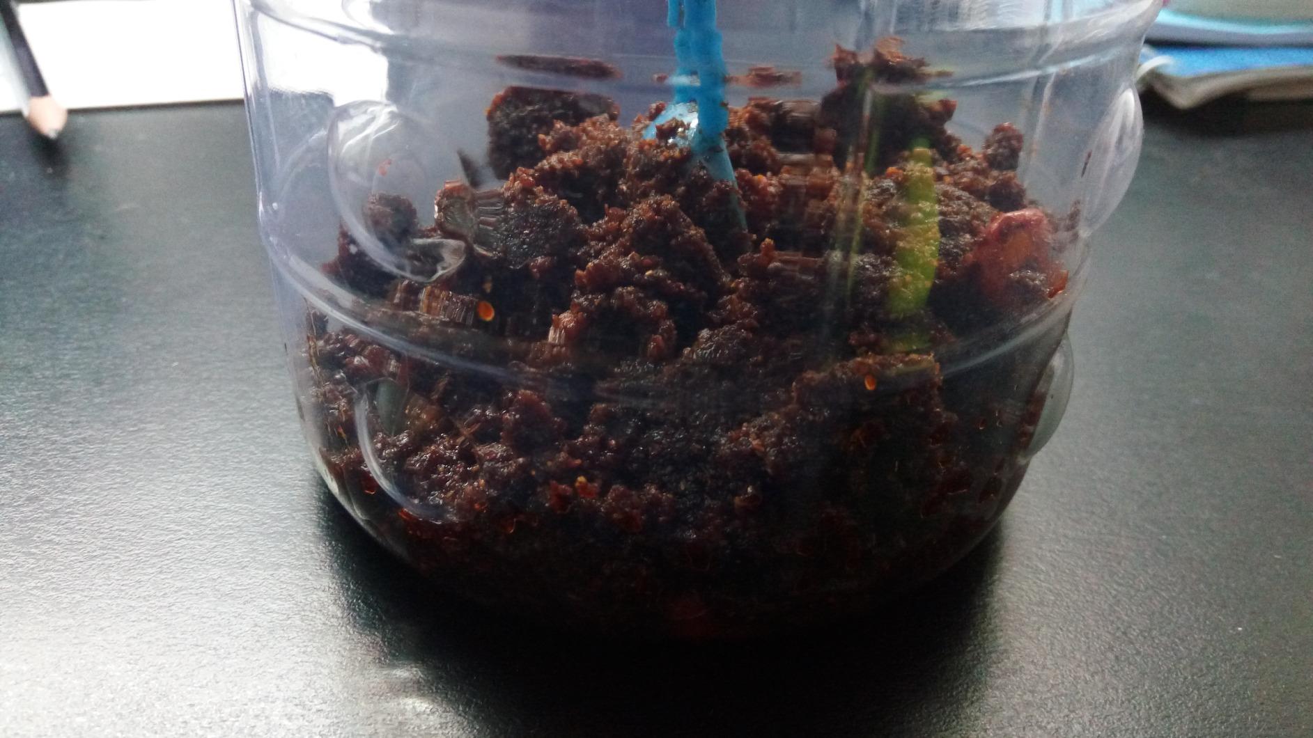 MTR Puliogare Paste | Traditional Masalas | Tamarind Rice Masala | 200g ...