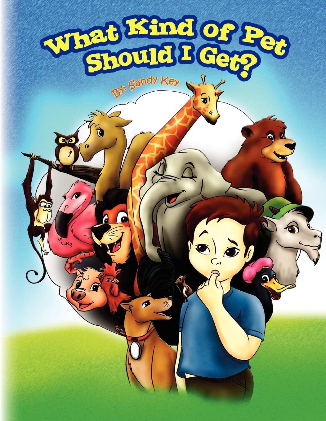 Amazon.com: What Kind of Pet Should I Get?: 9781441533494: Key, Sandy ...