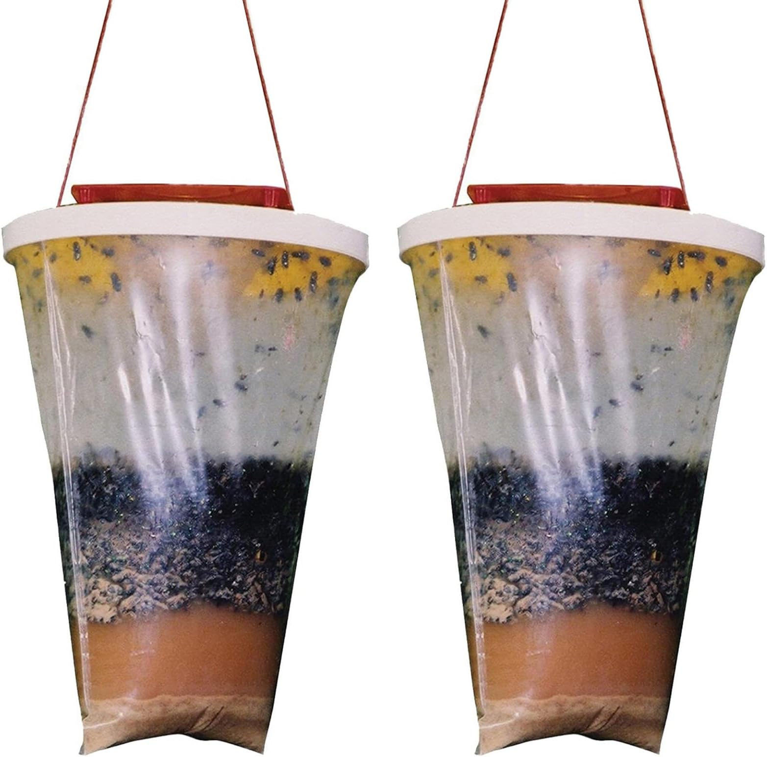 Red Top Fly Trap x 2 : Amazon.co.uk: Garden