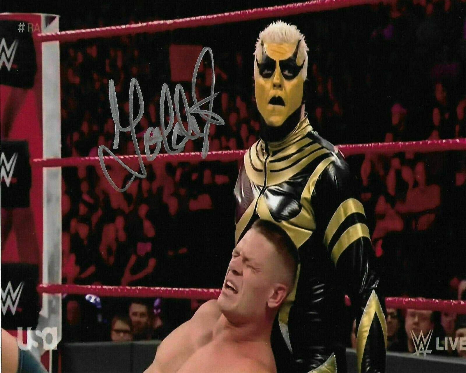 Dustin Runnels 2014 Goldust | WWE