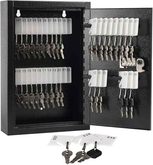 Amazon.com: KYODOLED Locking Key Cabinet, 40 Key Storage Lock Box with ...