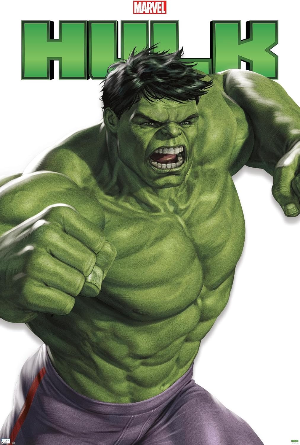 Amazon.com: Trends International Marvel Comics Hulk Feature Series Wall ...