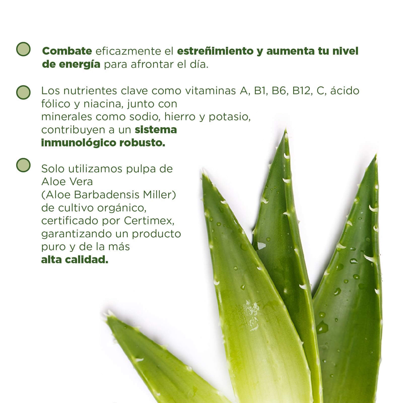 Para Que Sirve La Sabila Amazon.com: Cápsulas Herbarias De Extracto